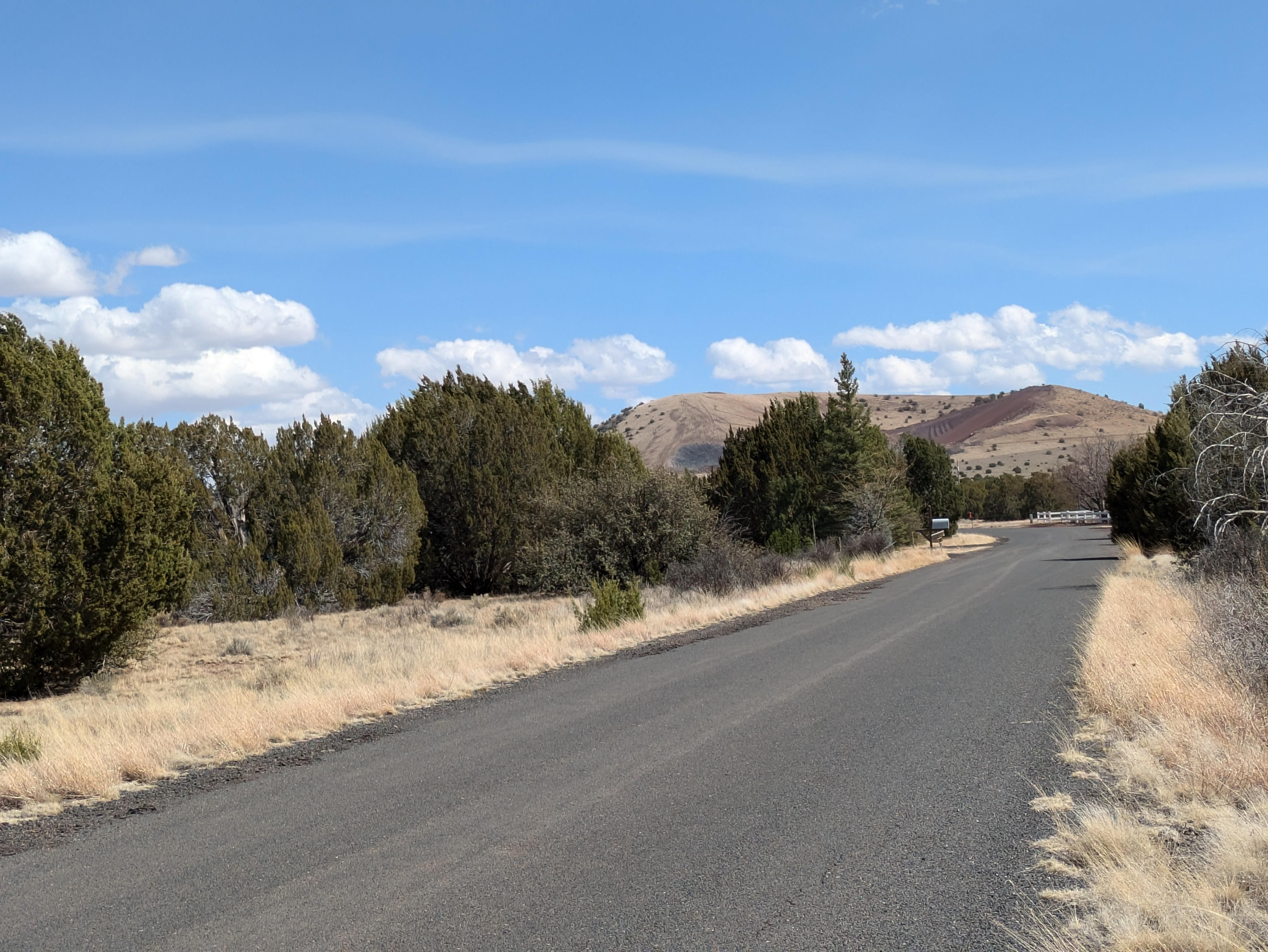County Road, Concho, AZ 85924 | Land.com