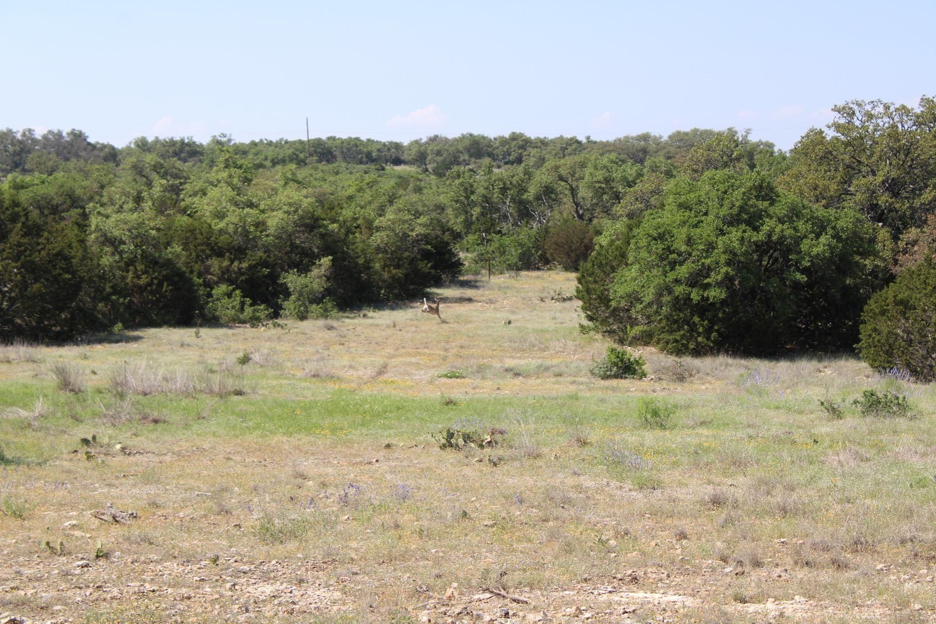 14.75 acres in Harper, TX, 78631 | Land.com