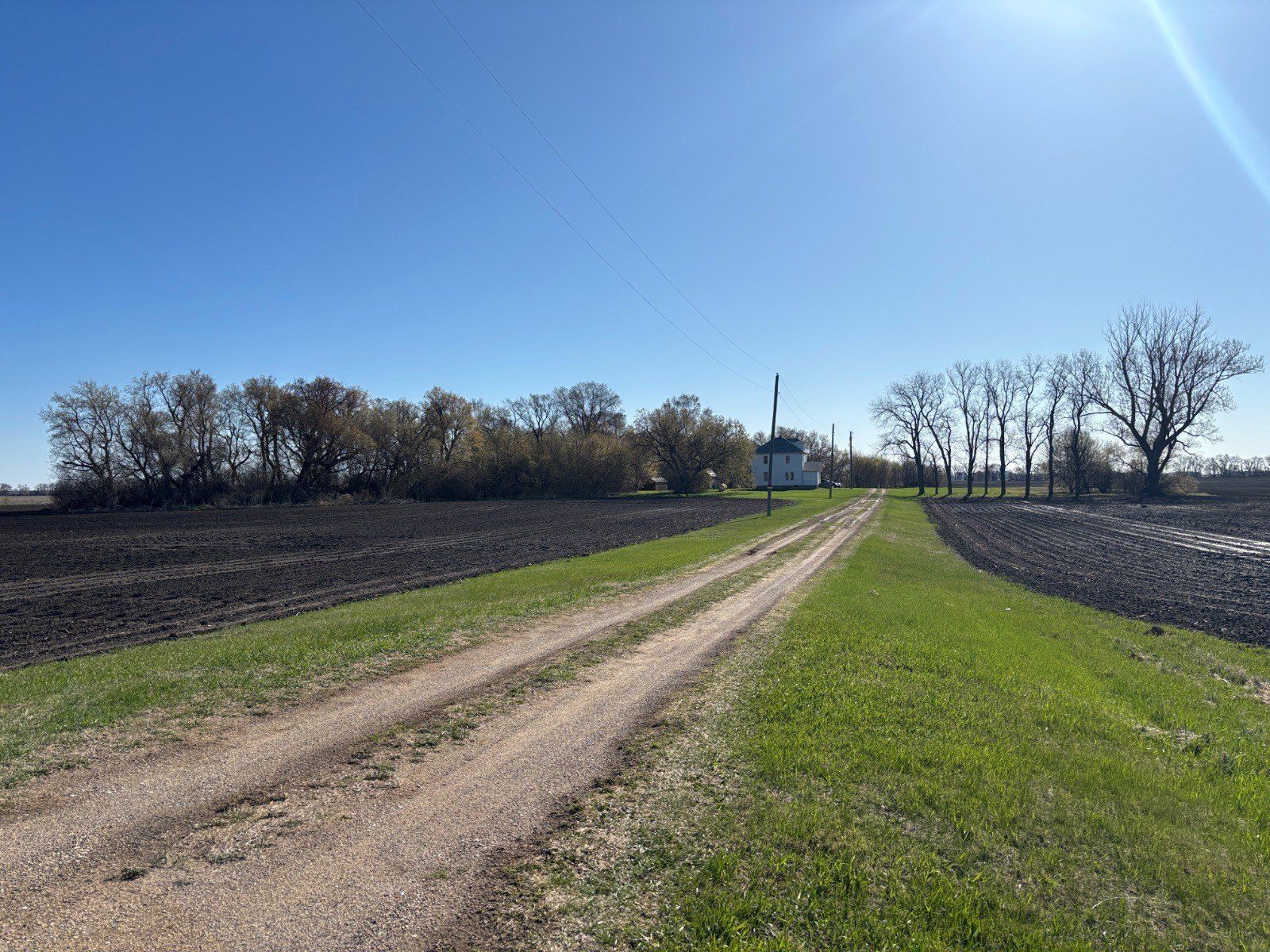 11066 468th Ave, Rosholt, SD 57260 | MLS: 11486189 | Land.com