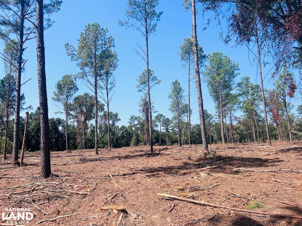 0 Hicks Road, Reynolds, GA 31076 | Land.com