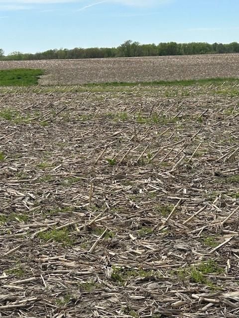 153.94 acres in Laura, IL, 61451 | Land.com