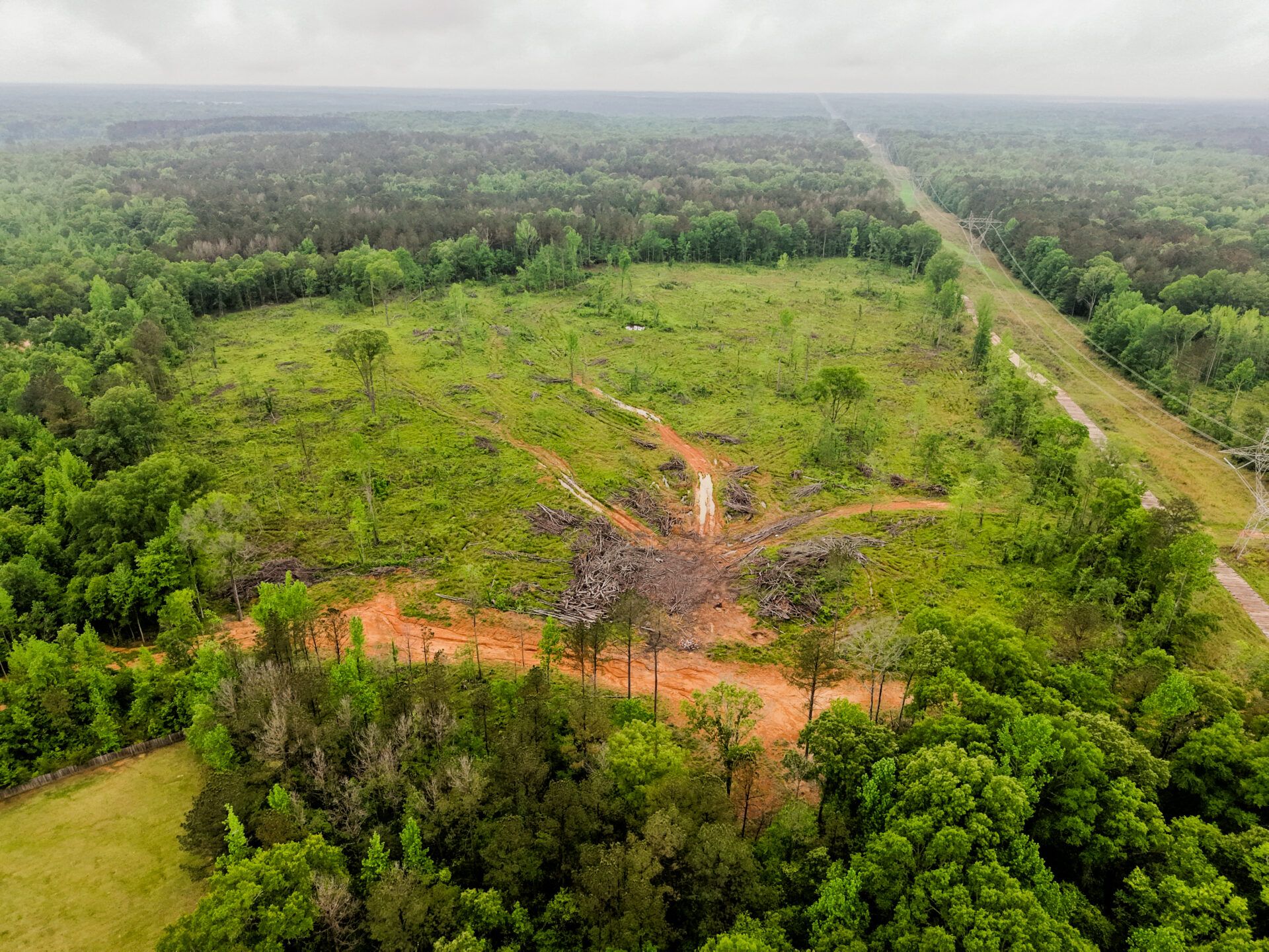 39 Acres, Madison County, MS, Madison, MS 39045 | Land.com