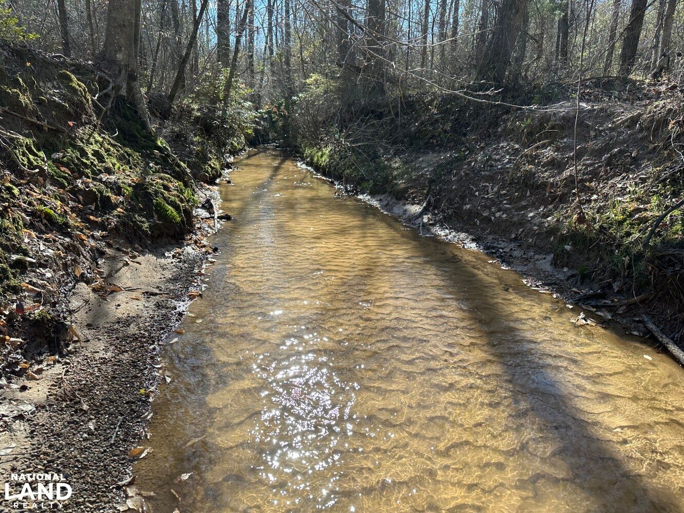 0 Co Rd 96, Millport, AL 35576 | Land.com