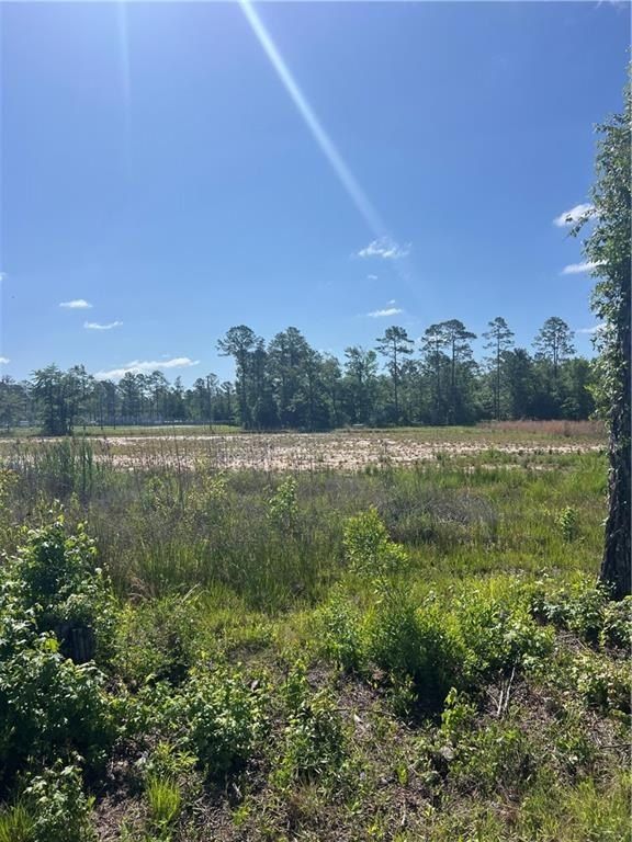 US Highway 17 Highway, Eulonia, GA 31331 | MLS: 1653672 | Land.com