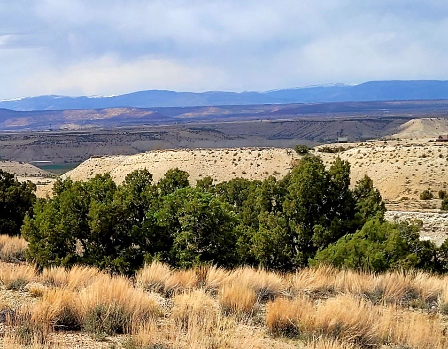 Lot 290 Utah Mini Ranches Phase 7, Duchesne, UT 84021 | MLS: UT ...