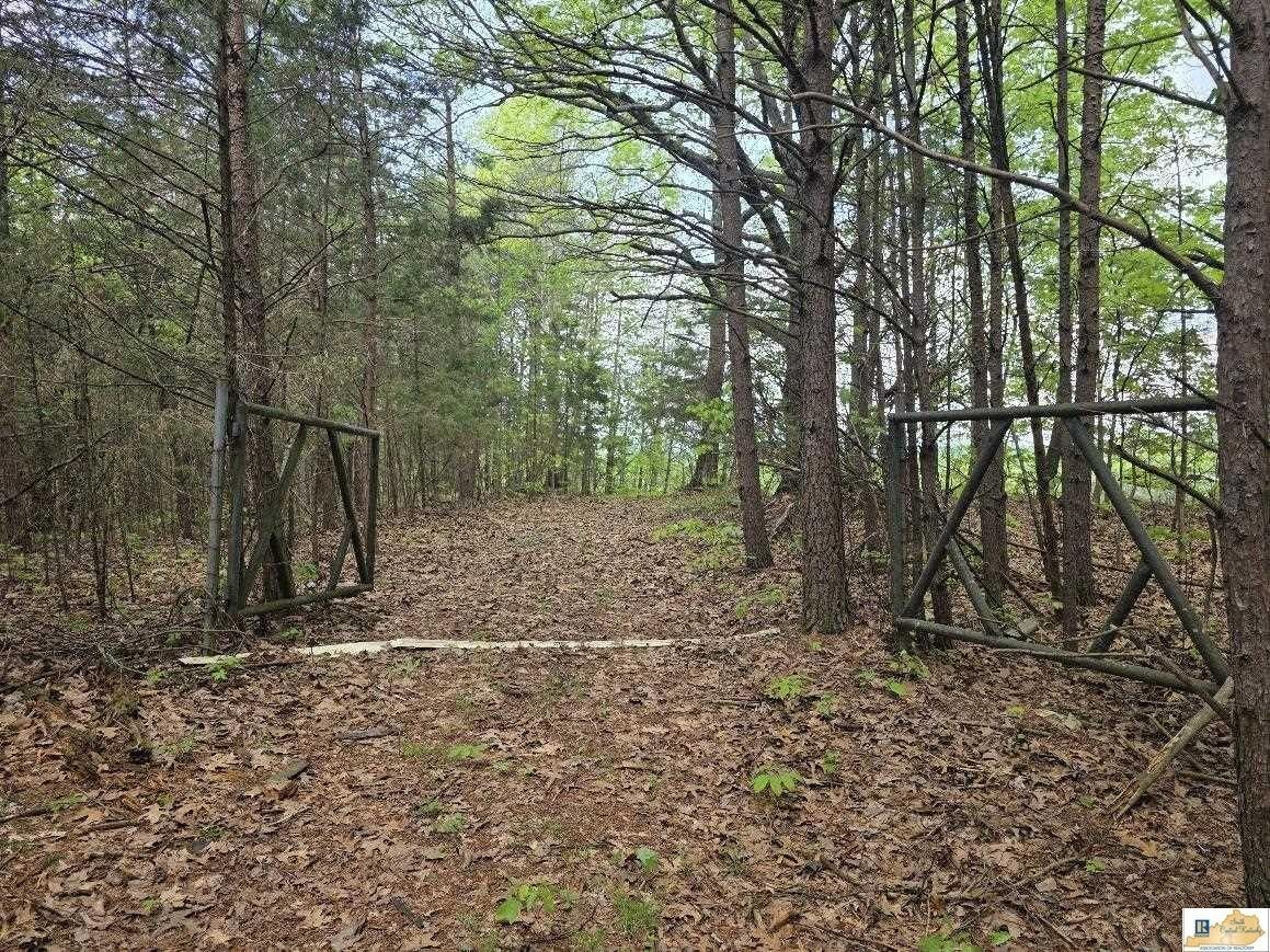 0 Chestnut Grove Road, Columbia, KY 42728 | MLS: SC46674 | Land.com