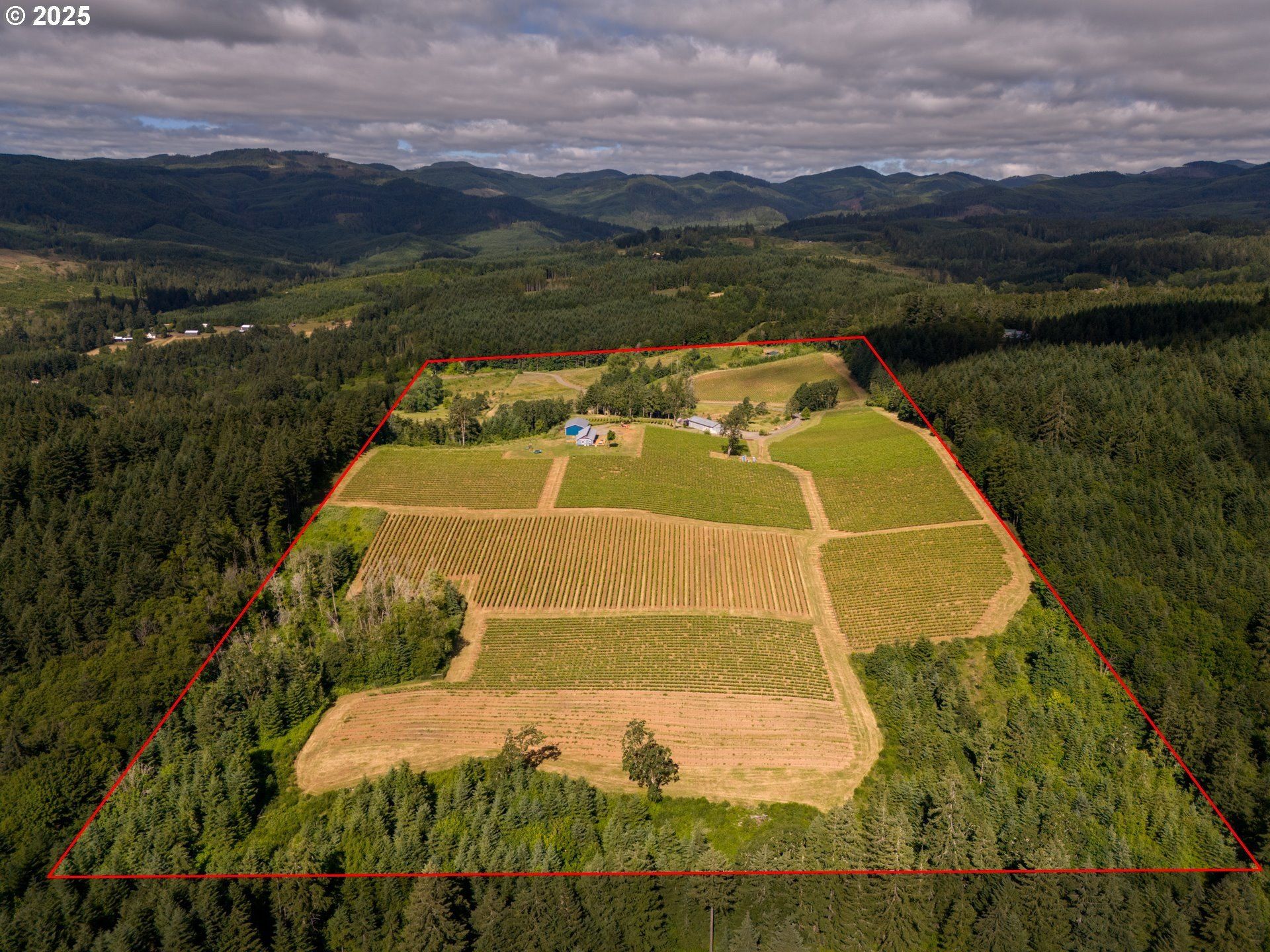 12000 NW OLD WAGON RD, Carlton, OR 97111 | MLS: 485624772 | Land.com