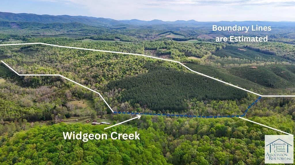 0 Charity Highway, Woolwine, VA 24185 | MLS: 144817 | Land.com