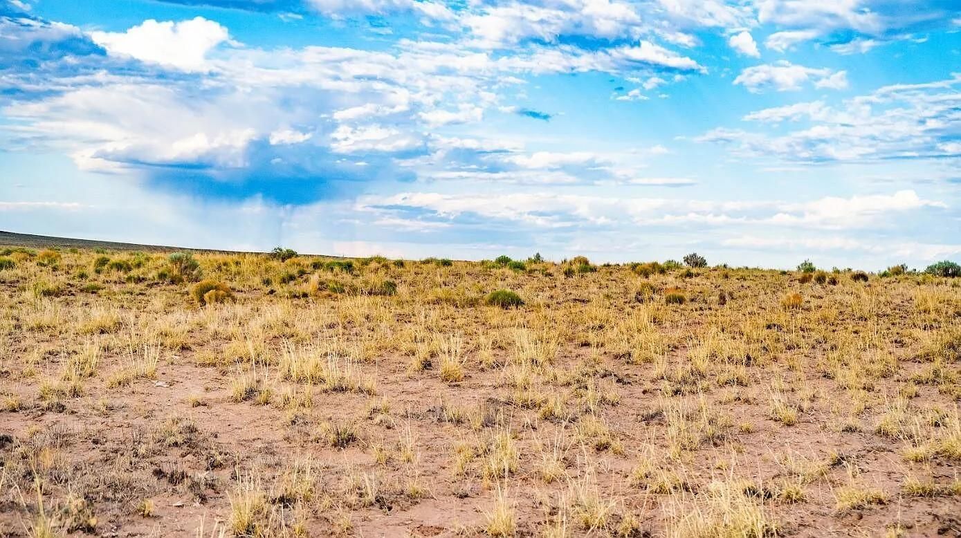 40 acres in Chambers, AZ, 86502 | Land.com