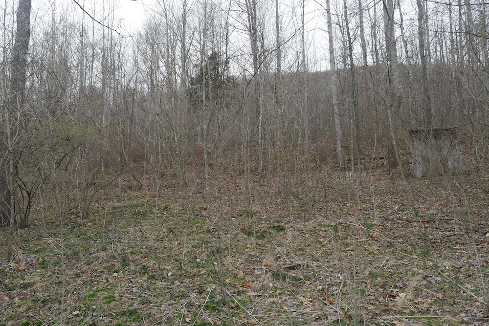TBD Old Mill Rd, Lot#WP001, Glade Spring, VA 24340 | Land.com