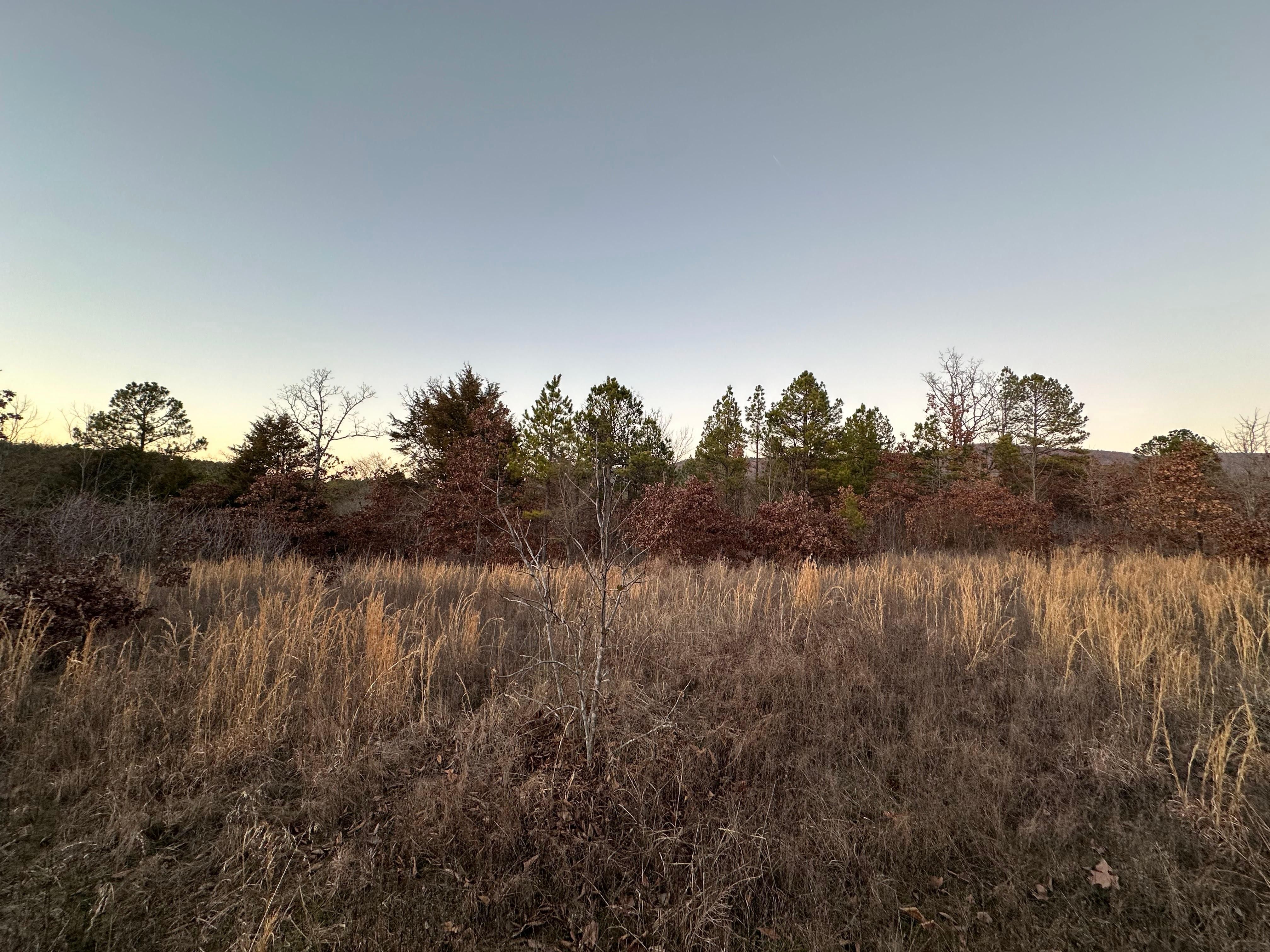 Ogden Mills Trail, Wister, OK 74966 | MLS: 1069981 | Land.com