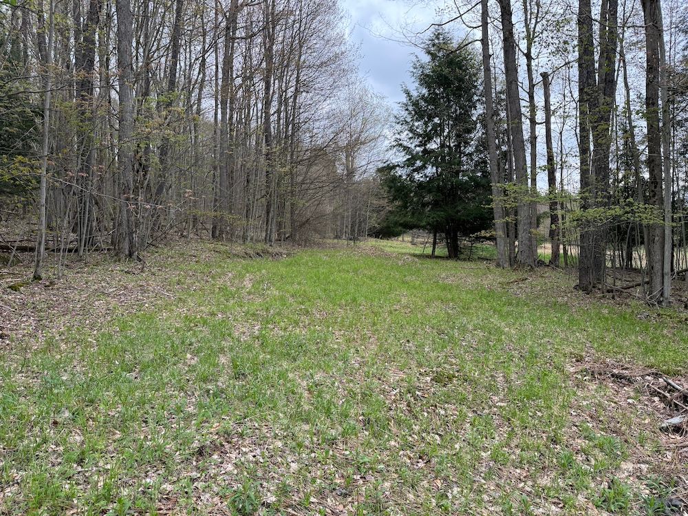 6909 Route 219, Lewis Run, PA 16738 | Land.com