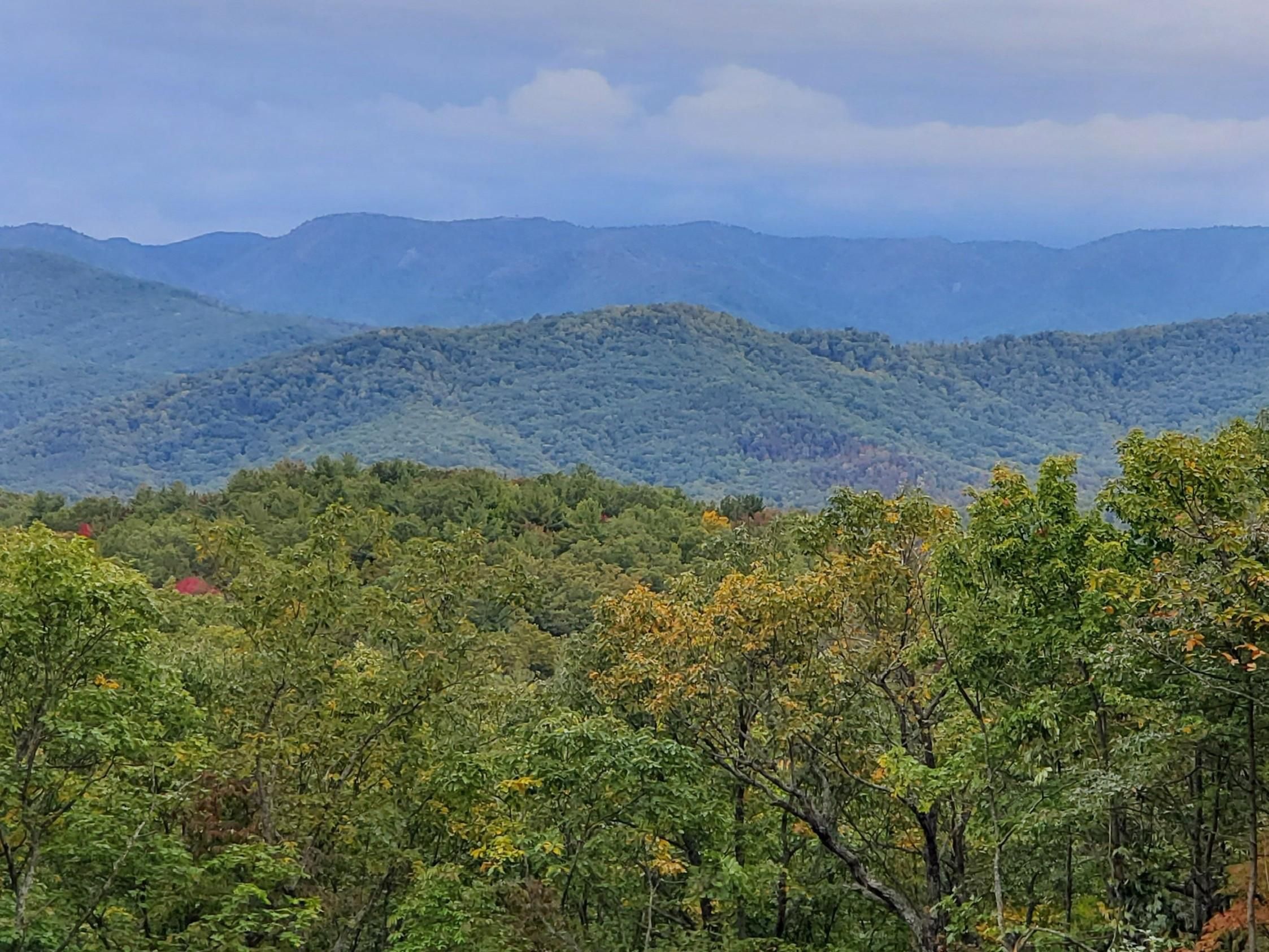 10 acres in Hays, NC, 28635 | Land.com