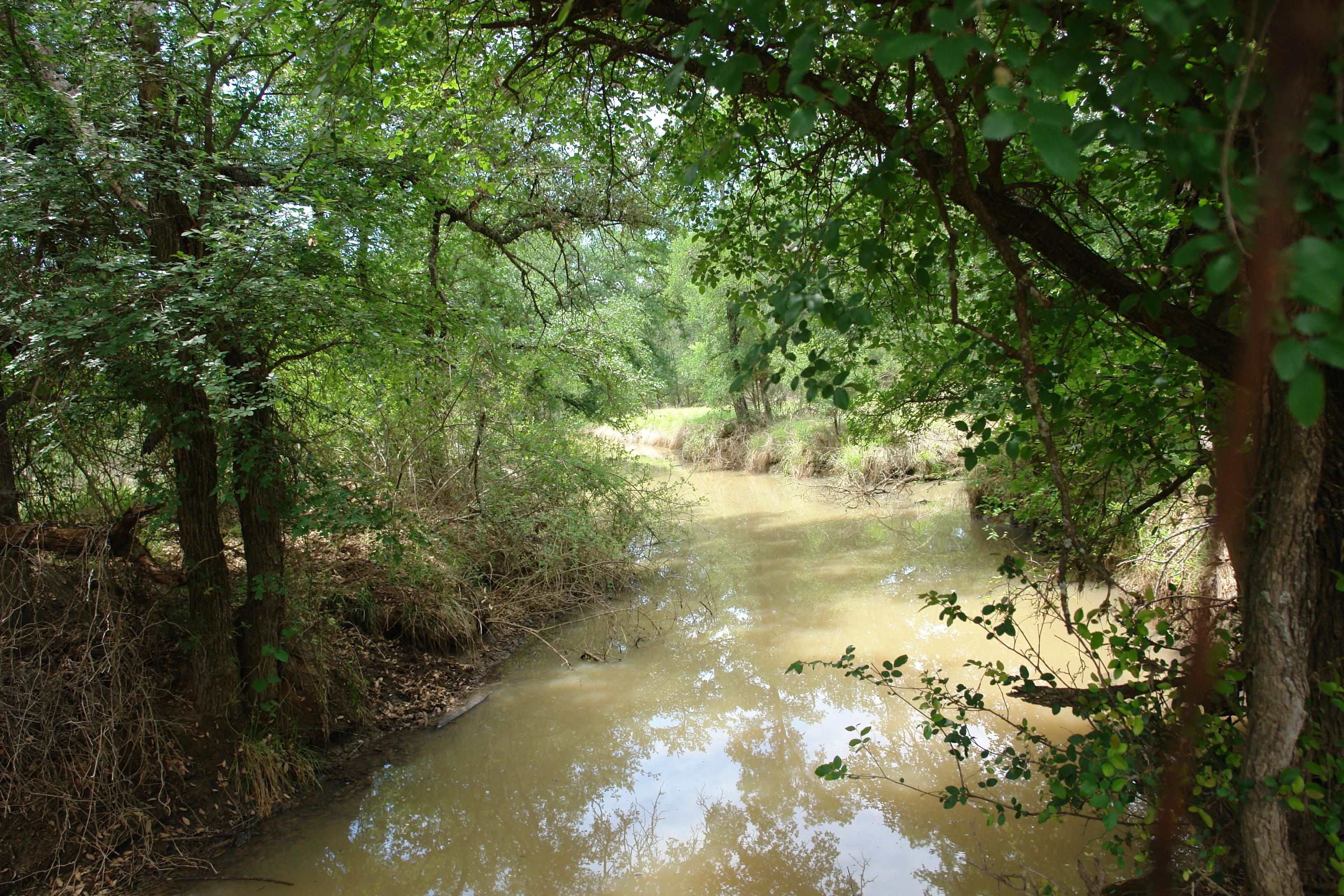 81 County Road 536, Mullin, TX 76864 | Land.com