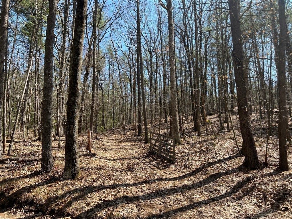 Lot 4, January Hills Road, Shutesbury, MA 01072 | MLS: 73374123 | Land.com