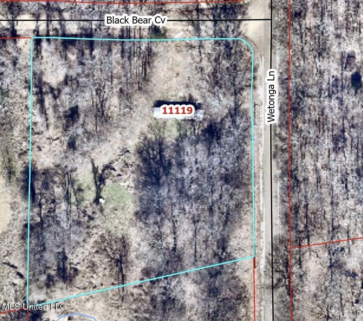 11119 Black Bear Cove, Hernando, MS 38632 | MLS: 4113247 | Land.com