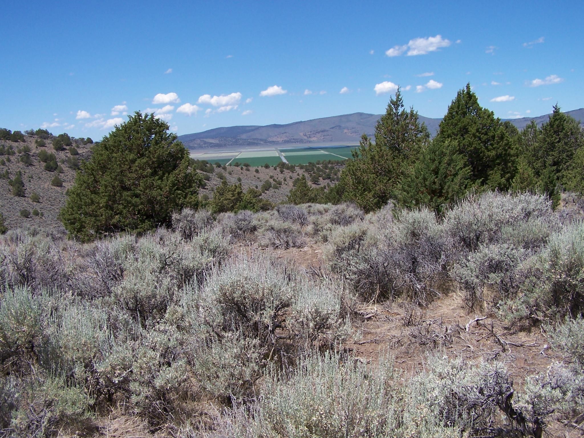 1,680 acres in Madeline, CA, 96119 | MLS: none | Land.com
