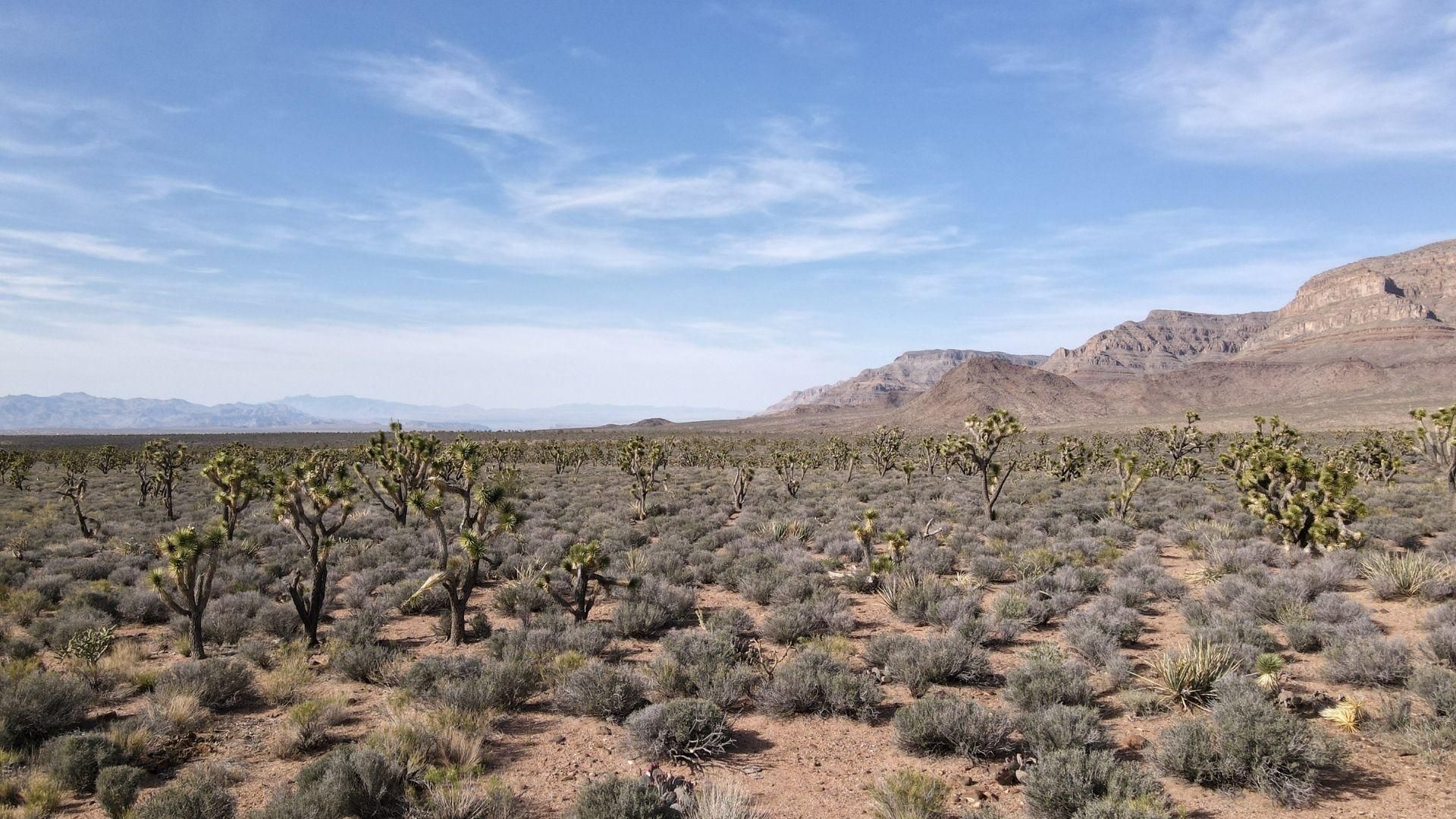 LAKE MEAD CITY UNIT NO 29-29-16 LOT 410, Mohave Valley, AZ 86440 | MLS ...