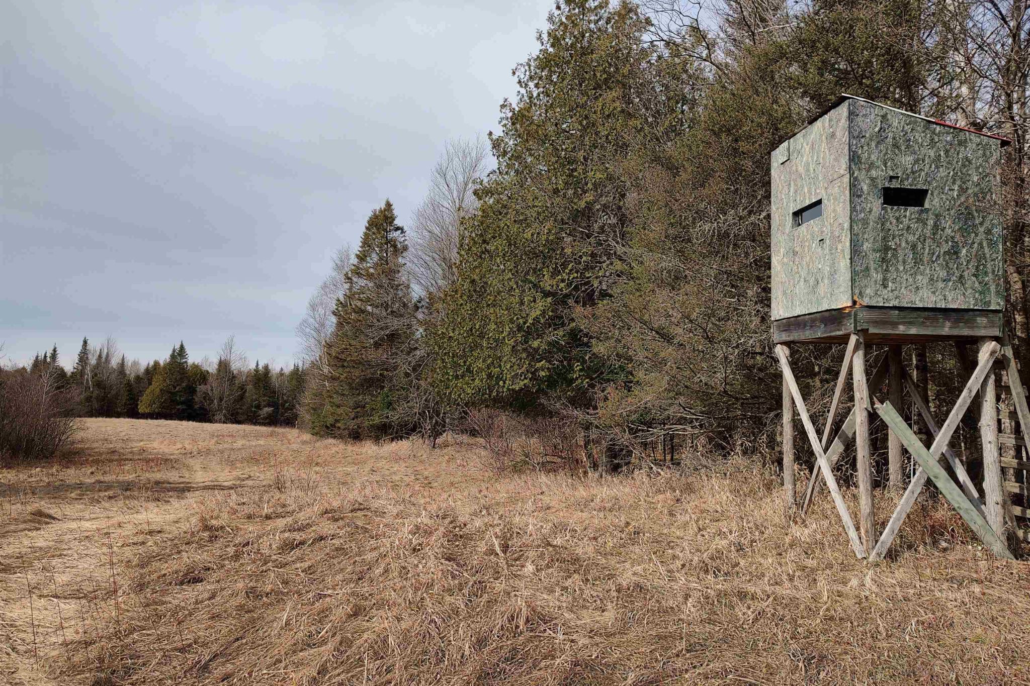 Trombley 35th Road, Rock, MI 49880 | MLS: 50174814 | Land.com