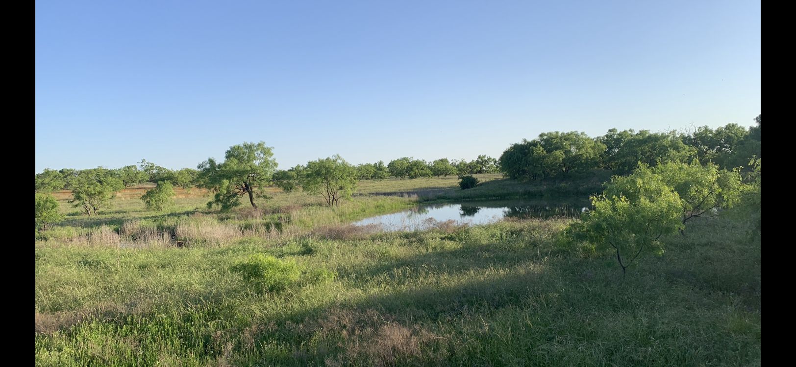 14119 Texas 153, Talpa, TX 76882 | Land.com