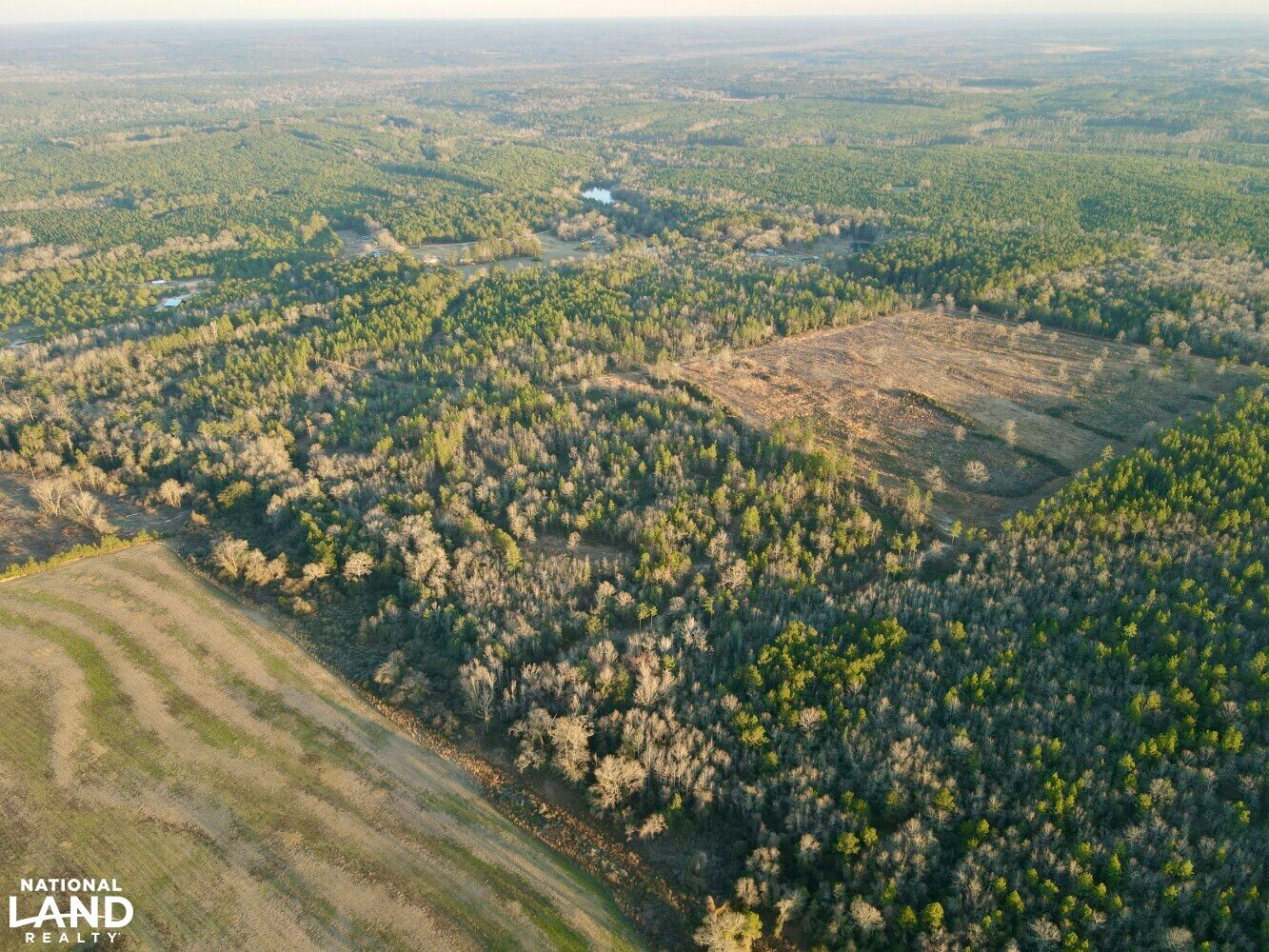 0 Brushy Creek, Range, AL 36473 | Land.com
