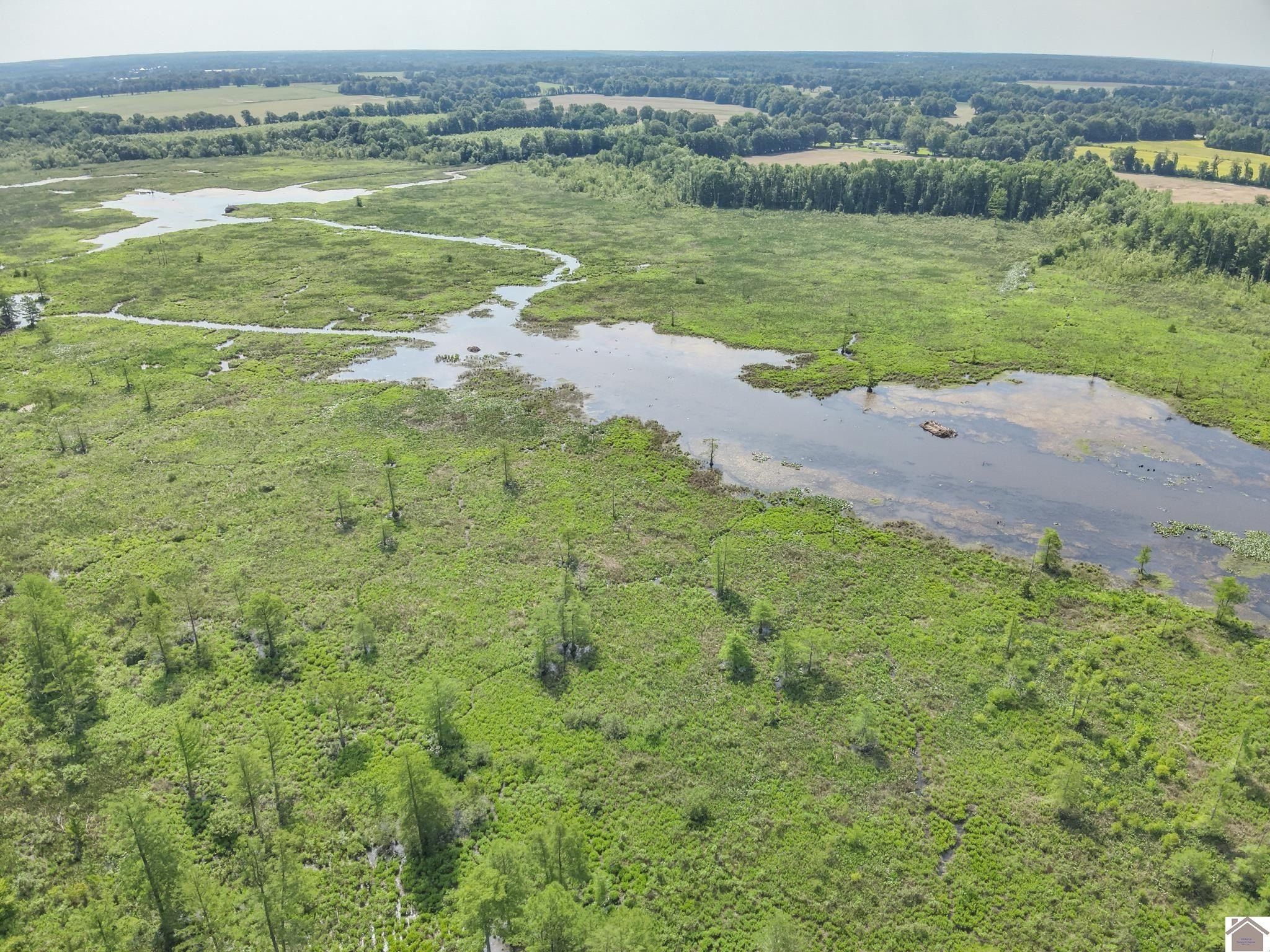 000 Hwy 121, Cunningham, KY 42035 | MLS: 131929 | Land.com