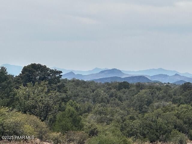 44750 N Rascal Ranch Road, Seligman, AZ 86337 | MLS: 1073421 | Land.com
