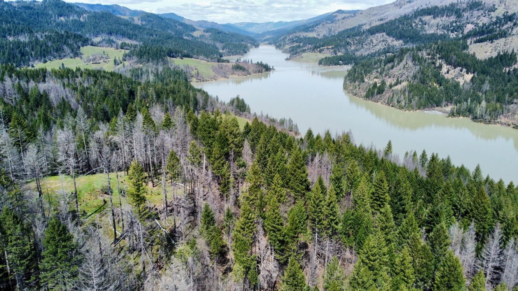 5990 Lower West Side Road, Bridgeville, CA 95526 | MLS: 266459 | Land.com