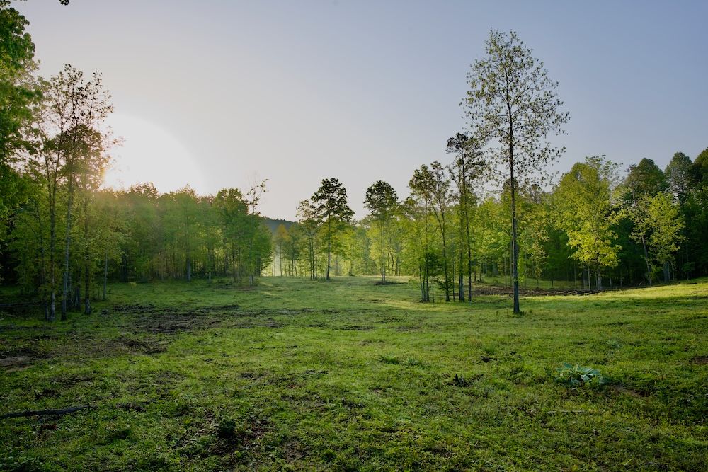 N of Barker Cove Loop,Lot#WP001, Palmer, TN 37365 | MLS: Realtracs ...