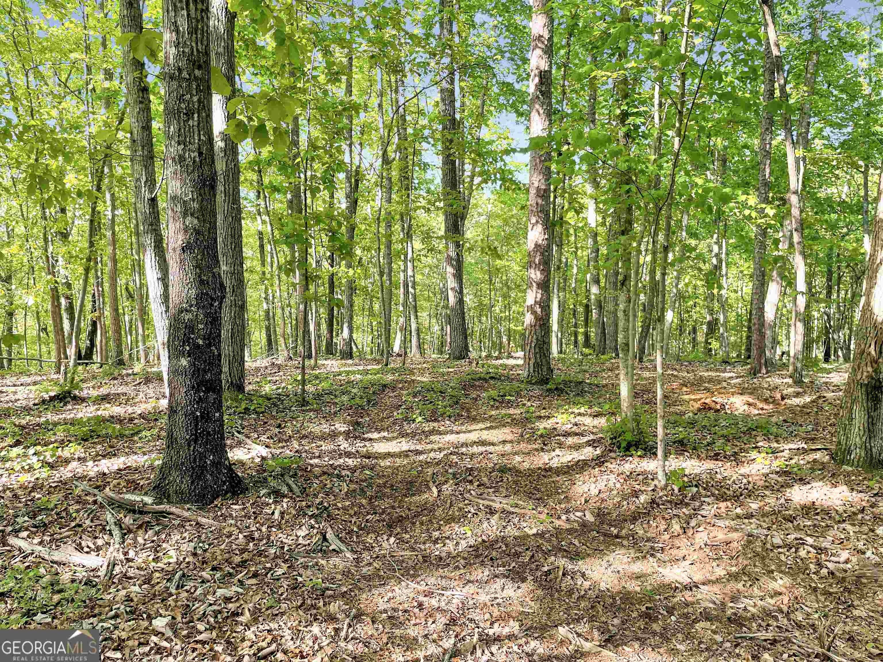 5323 Cedartown Hwy, Lindale, GA 30147 | MLS: 10526795 | Land.com