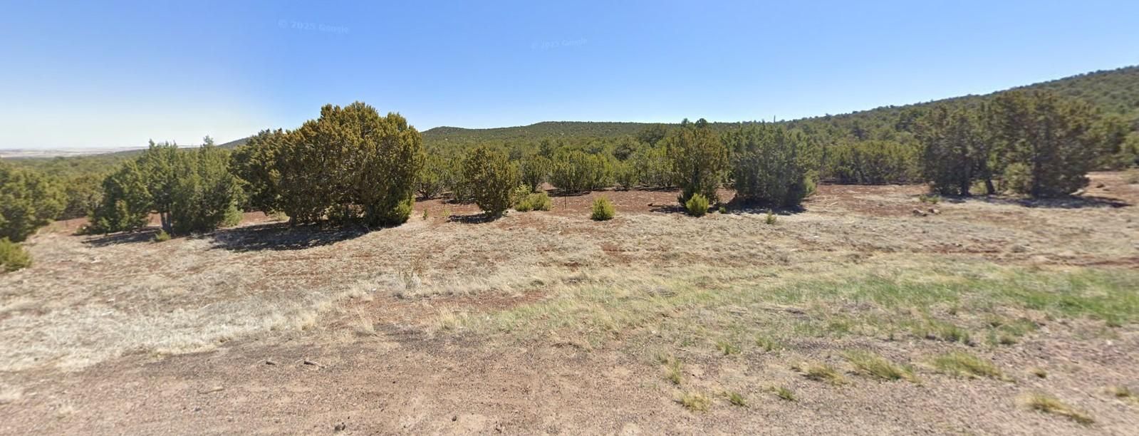 County Road 8230, Concho, AZ 85924 | Land.com