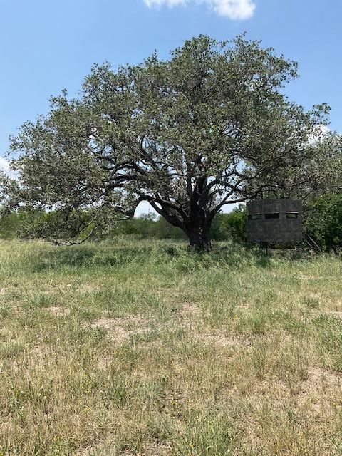 County Road 119, Pettus, TX 78146 | Land.com
