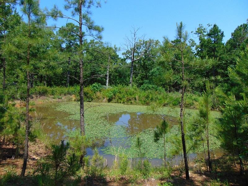 Wren Lane, Wister, OK 74966 | Land.com