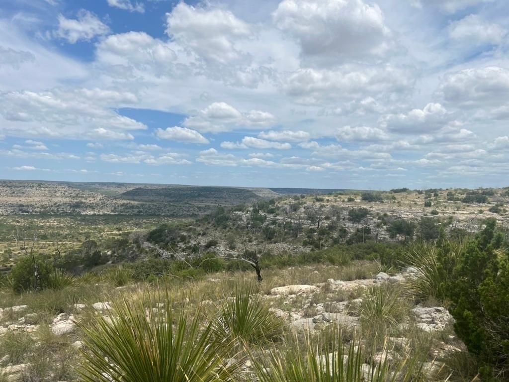 67.21 acres in Ozona, TX, 76943 | Land.com
