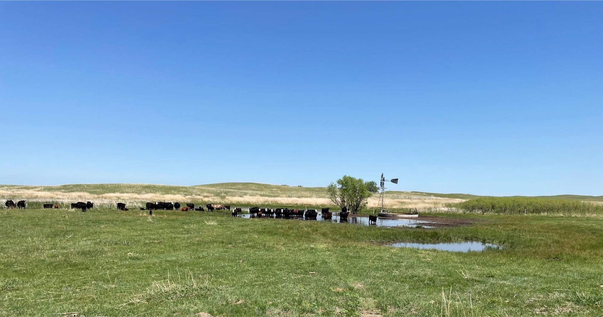 Gordon, NE 69343, Gordon, NE 69343 | Land.com