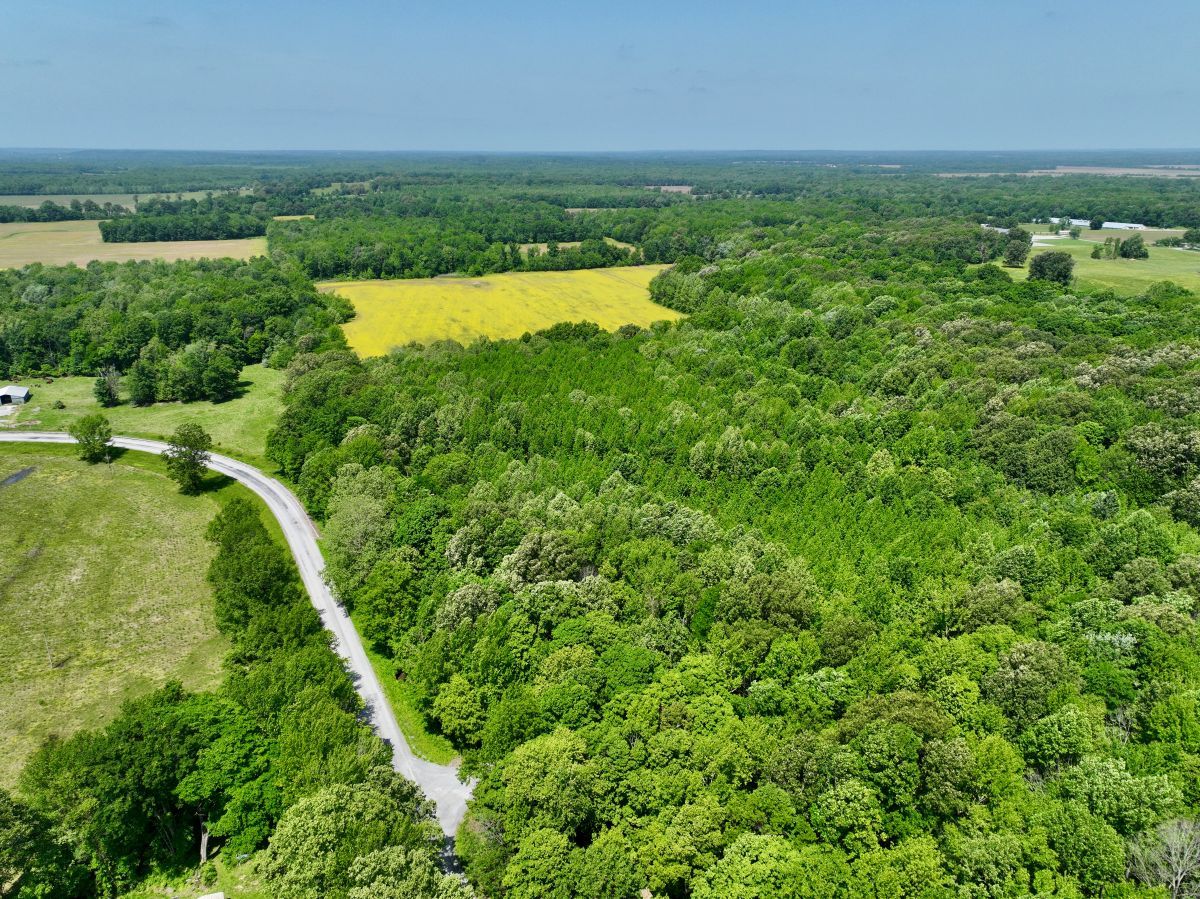 Robinson Hill Road, Lot#WP003, Stonefort, IL 62987 | Land.com