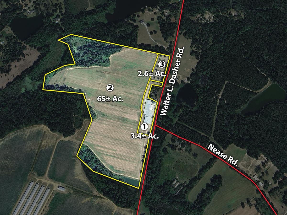 Walter L Dasher Road, Glennville, GA 30427 | Land.com