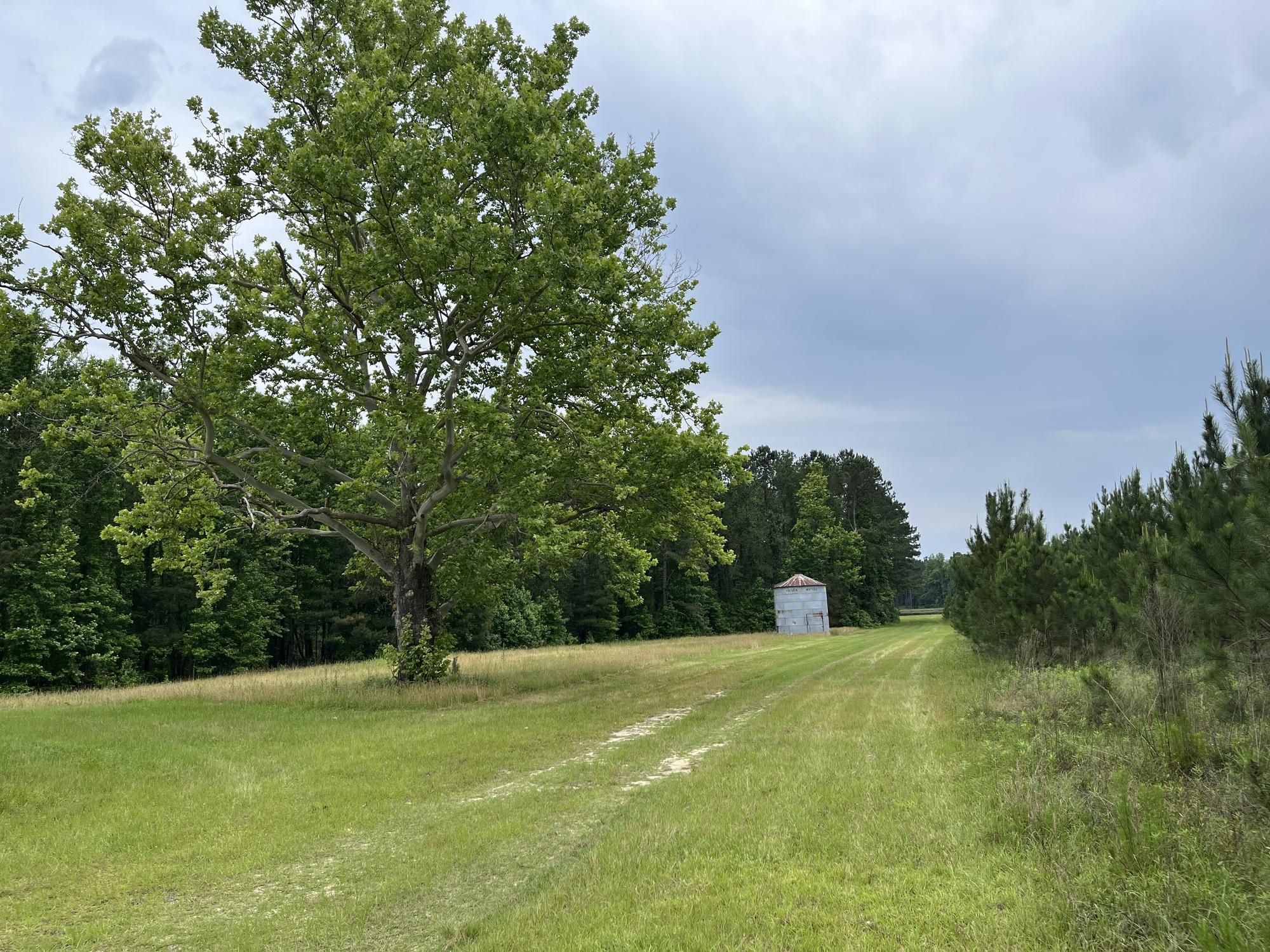 Fox Road, Sardis, GA 30456 | MLS: 102 041A | Land.com