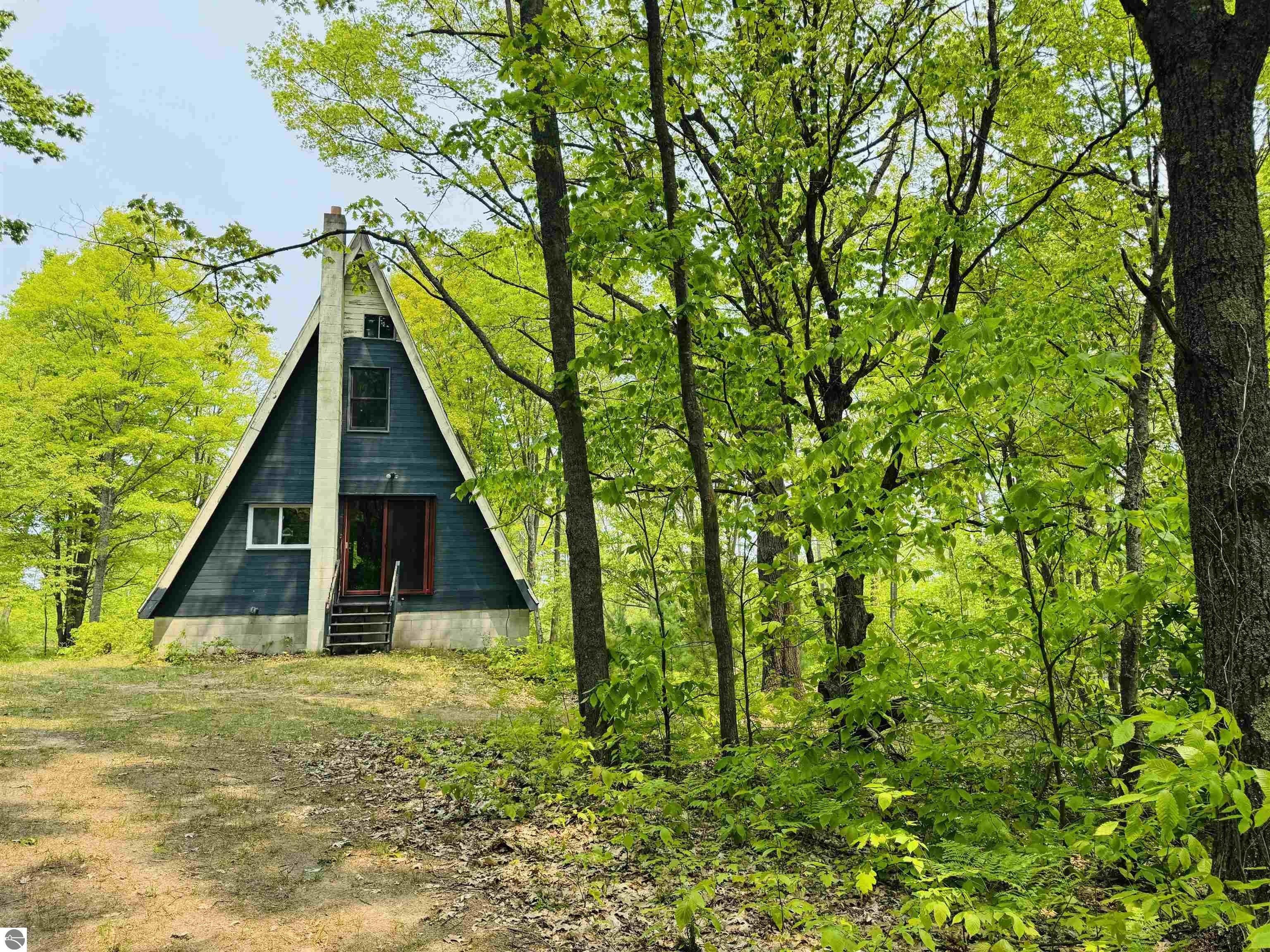 11711 E 22 3/4 Road, Manton, MI 49663 | MLS: 1934607 | Land.com