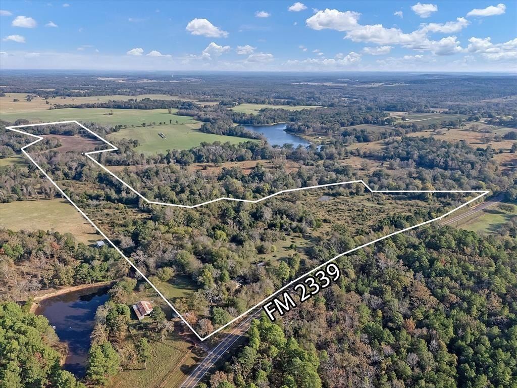 2640 FM 2339, Ben Wheeler, TX 75754 | MLS: 20954665 | Land.com