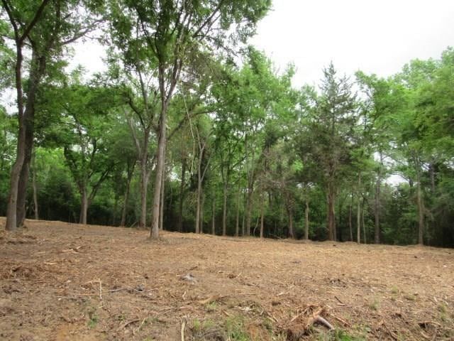 0 N Queen Street, Palestine, TX 75803 | MLS: 97254 | Land.com