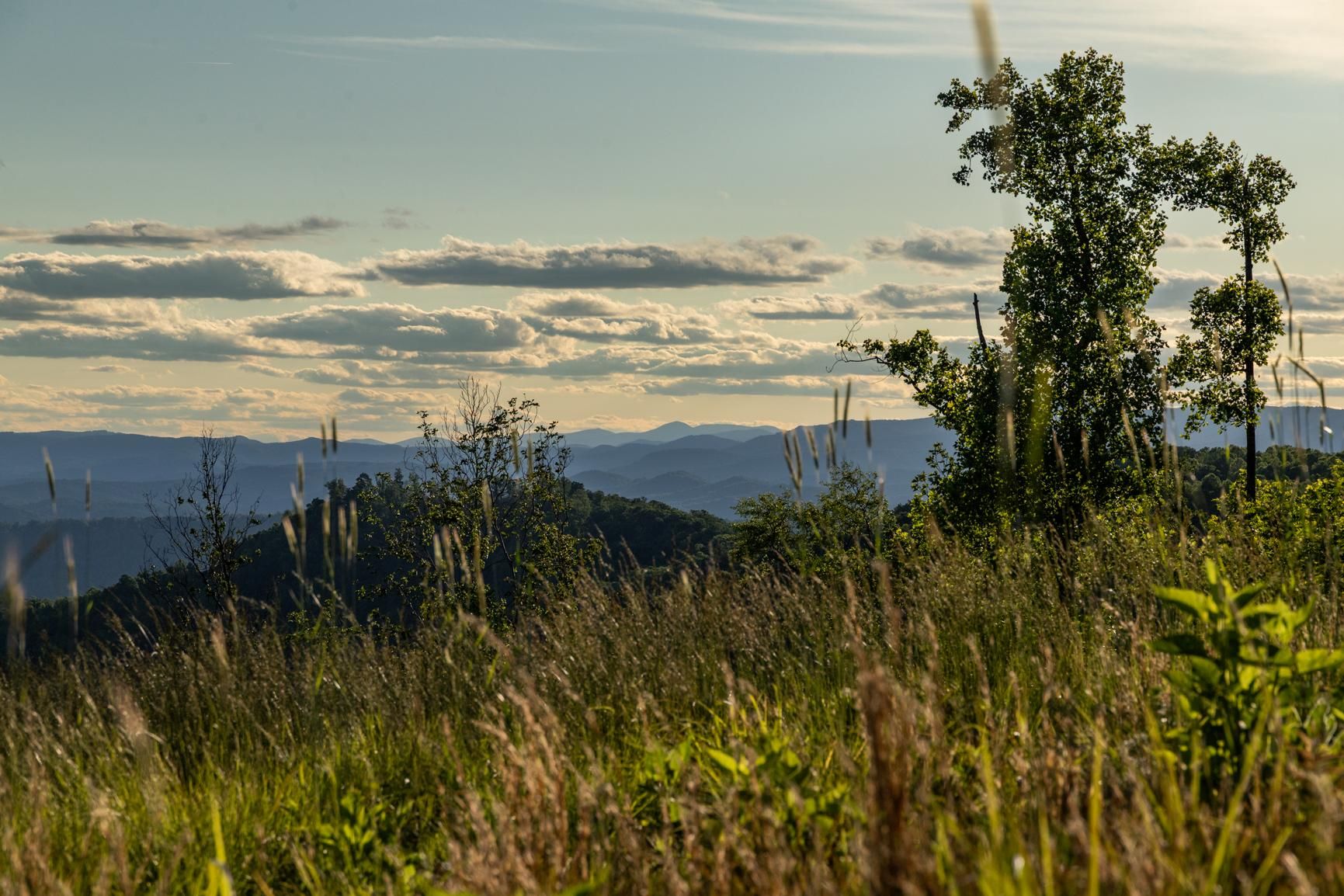 000 Swaringen Road, Traphill, NC 28685 | Land.com