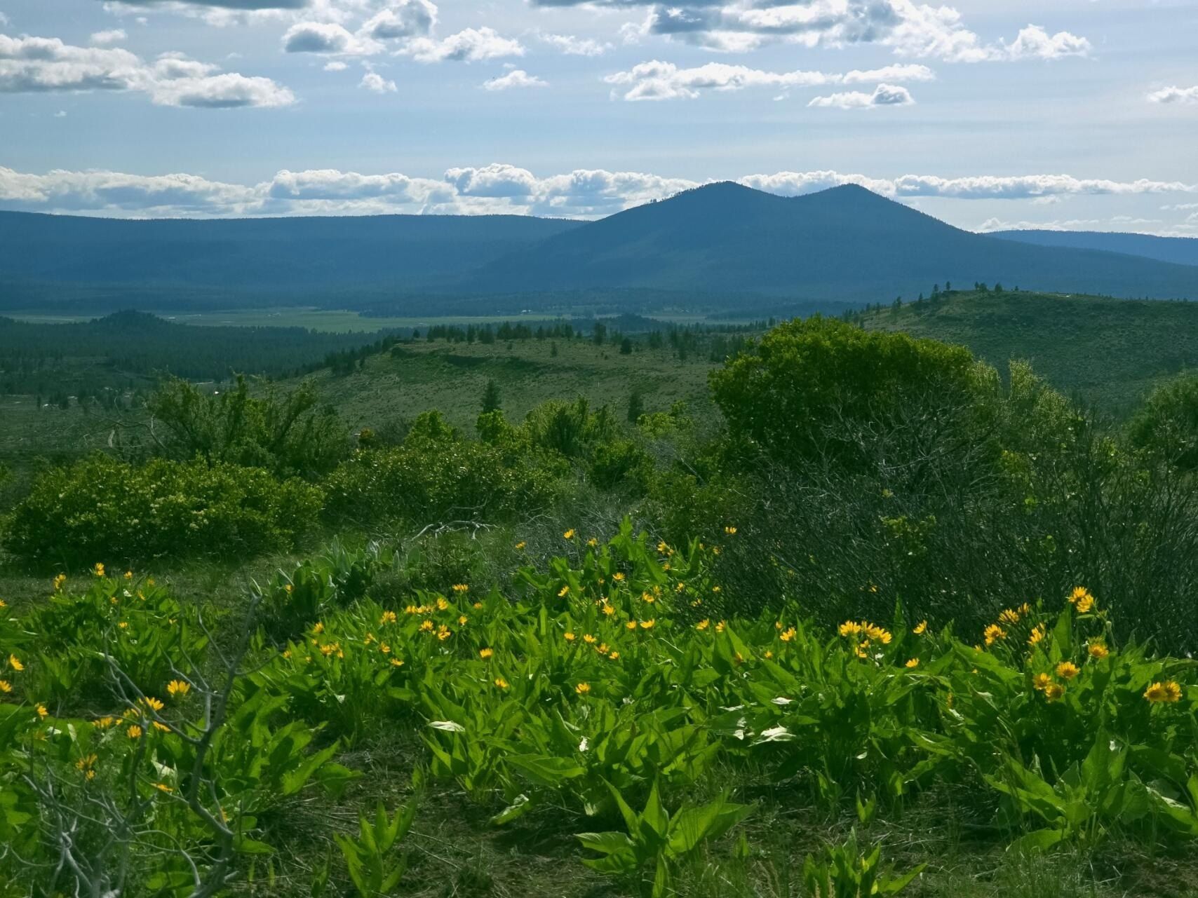 Fur Trapper Drive, Chiloquin, OR 97624 | MLS: 220197777 | Land.com