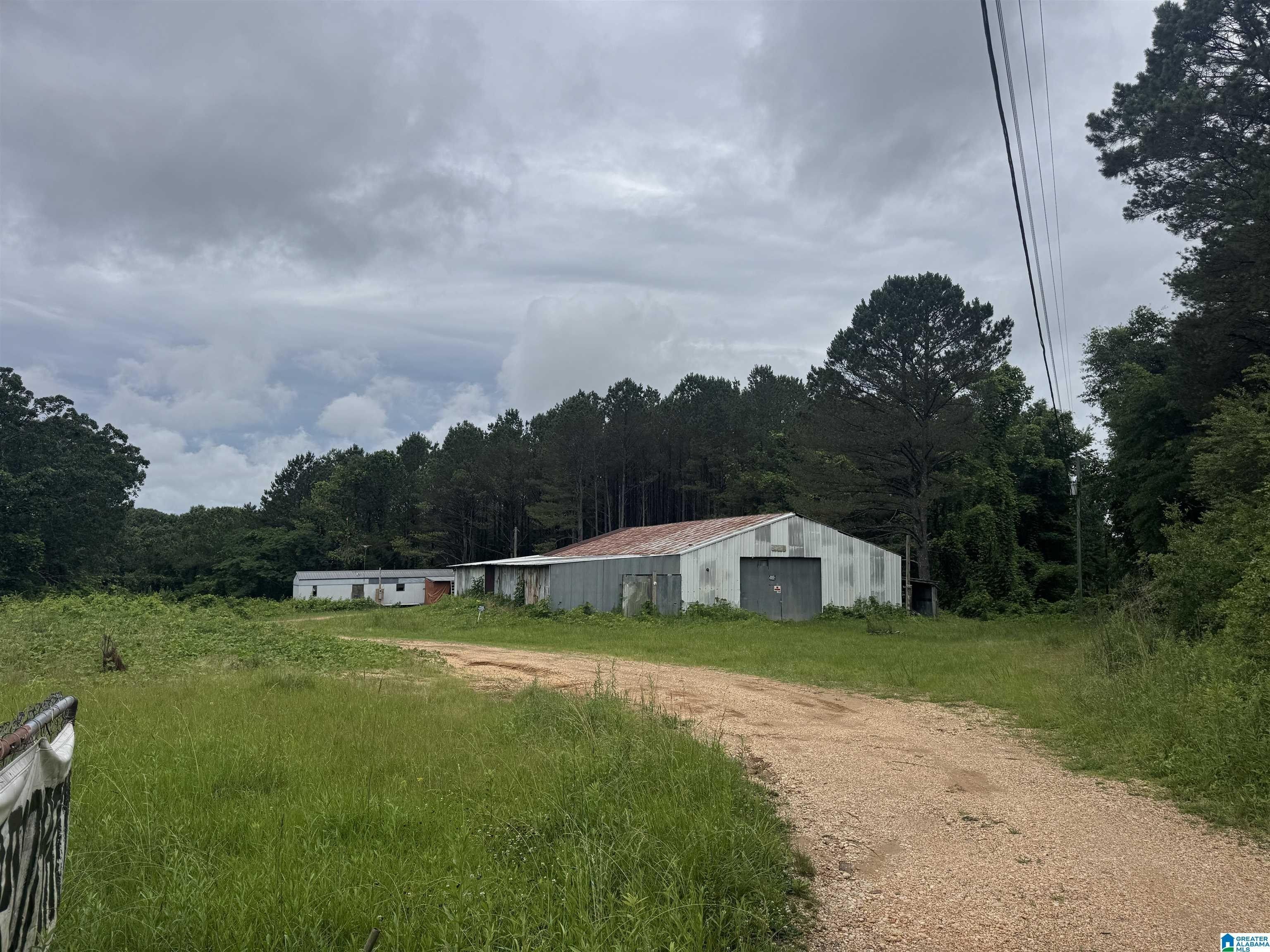 1293 COUNTY ROAD 196, Haleyville, AL 35565 | MLS: 21421189 | Land.com