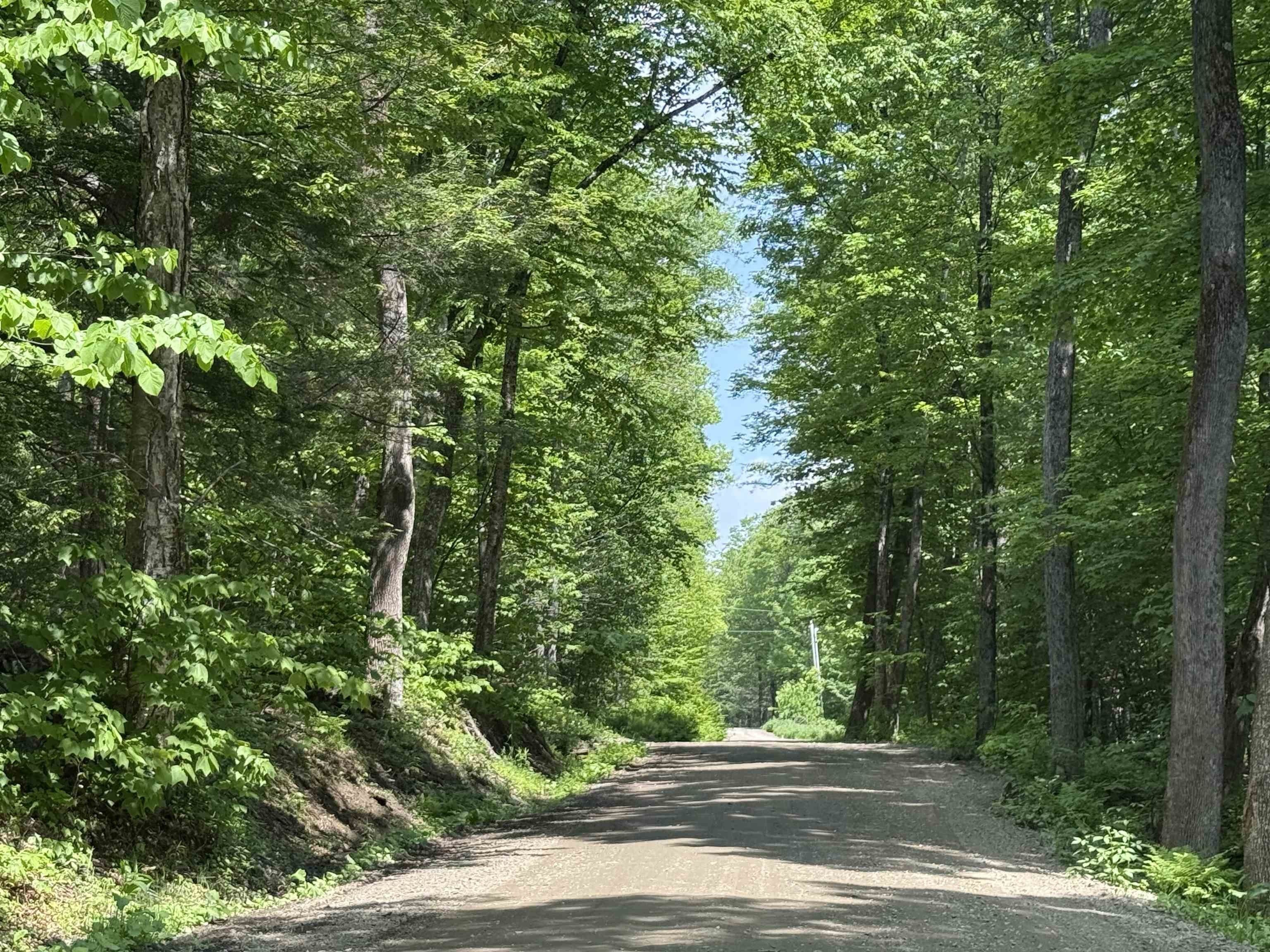 251 Phillips Hill Road, Halifax, VT 05358 | MLS: 5045217 | Land.com