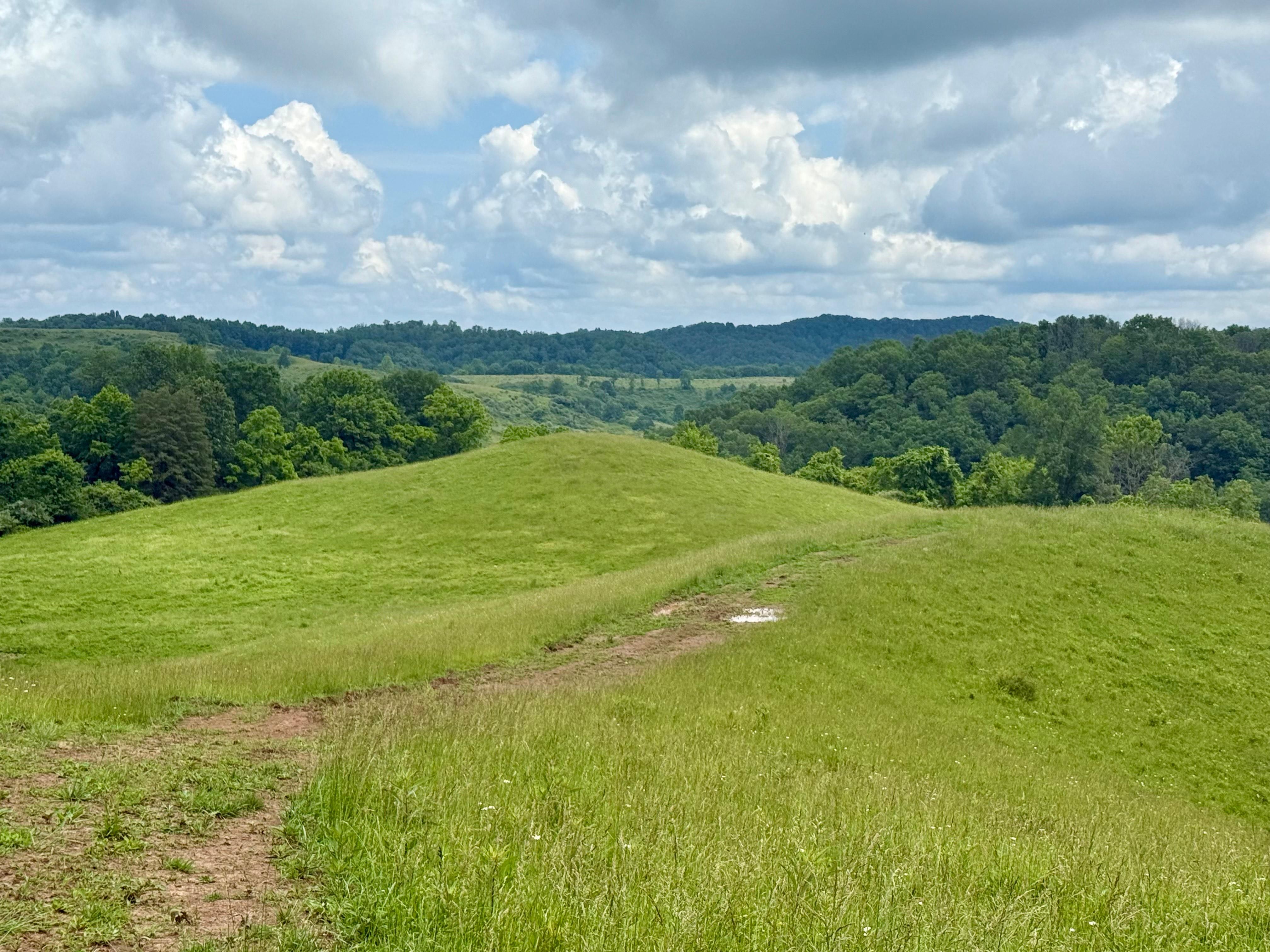 5205 Lynn Camp Road, Pullman, WV 26421 | MLS: 11513113 | Land.com