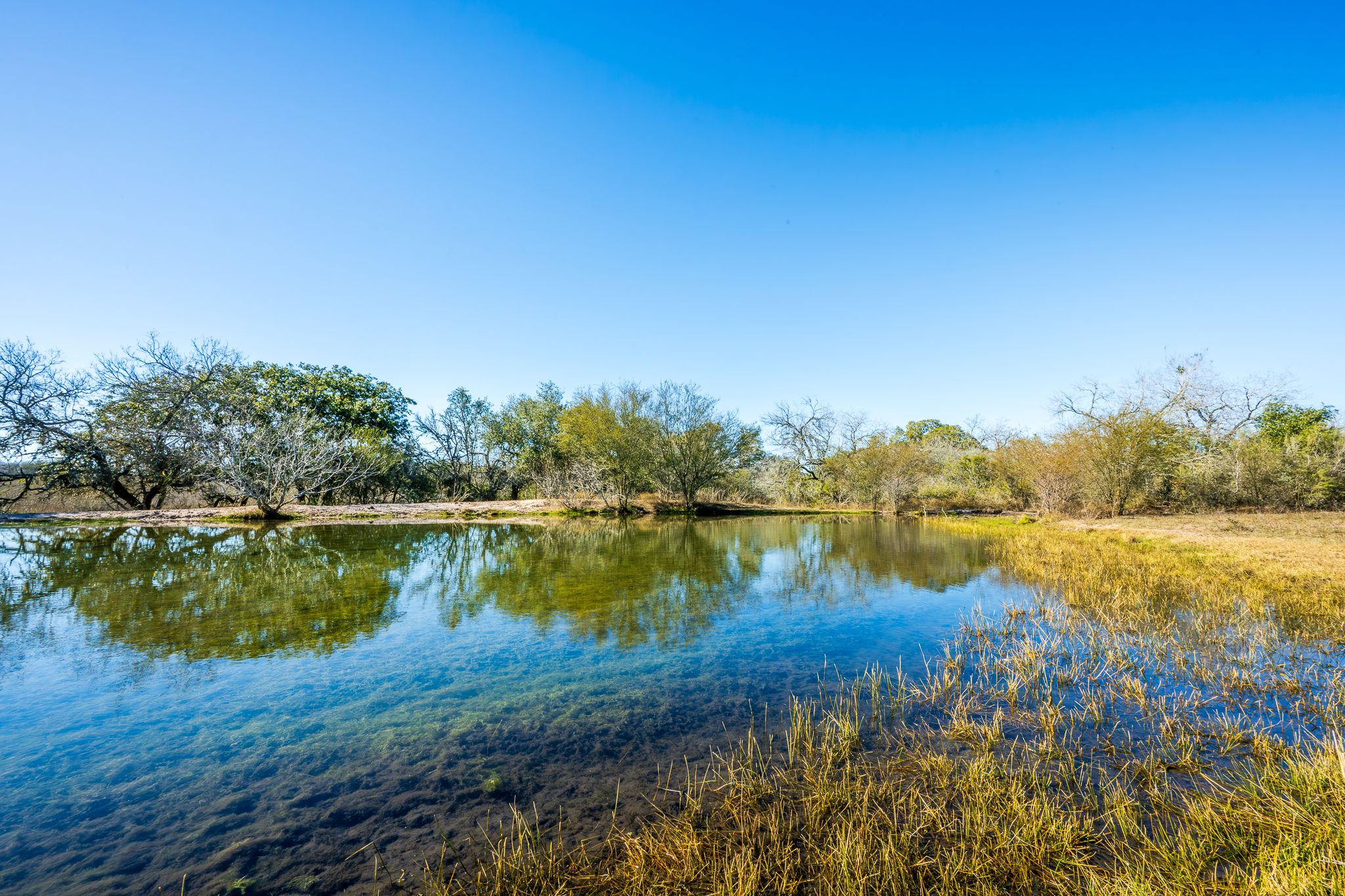 000 County Road 113, Pettus, TX 78146 | MLS: sabor|1837735 | Land.com