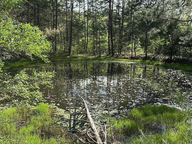 000 Flynn Road, Bronston, KY 42518 | MLS: 24022974 | Land.com