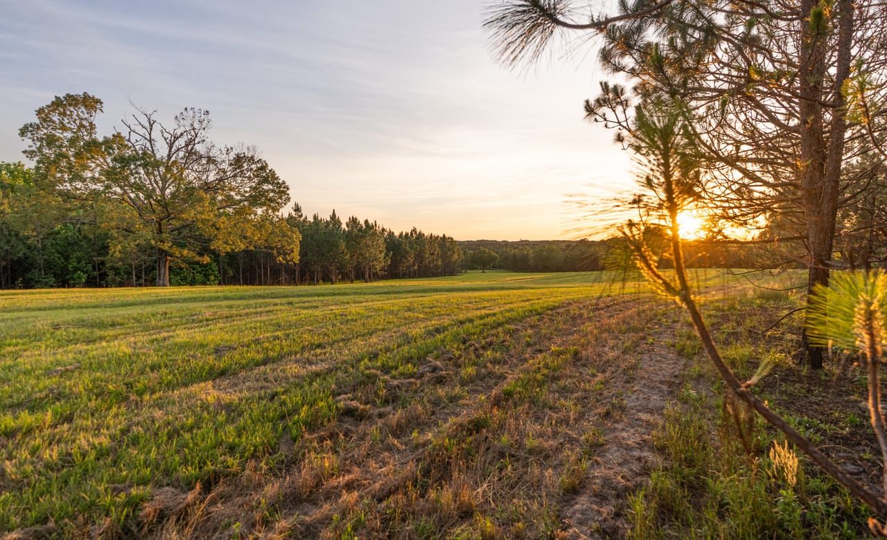 Moore Road, Grady, AL 36036 | Land.com