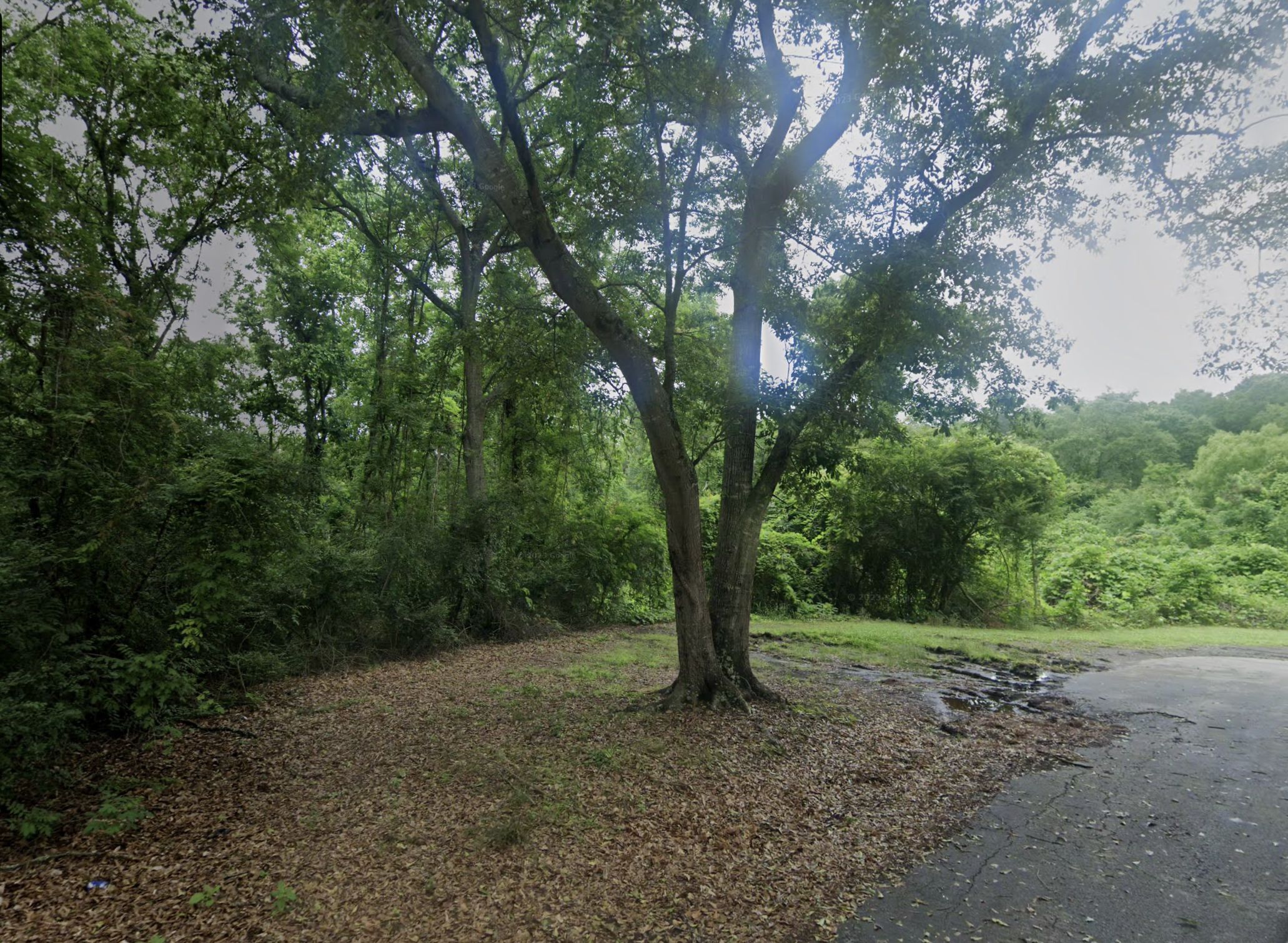 62 Dew Place, Forsyth, GA 31029 | Land.com